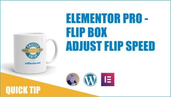 Elementor Pro - Adjust Flip Box Flip Speed - Sniffle Valve